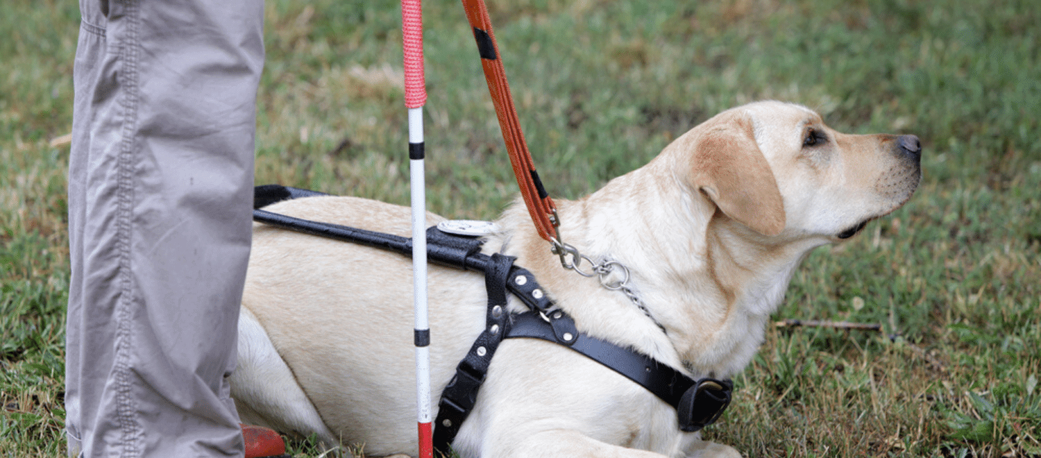 HUD’s New Assistance Animal Notice - Williams Edelstein Tucker, P.C.